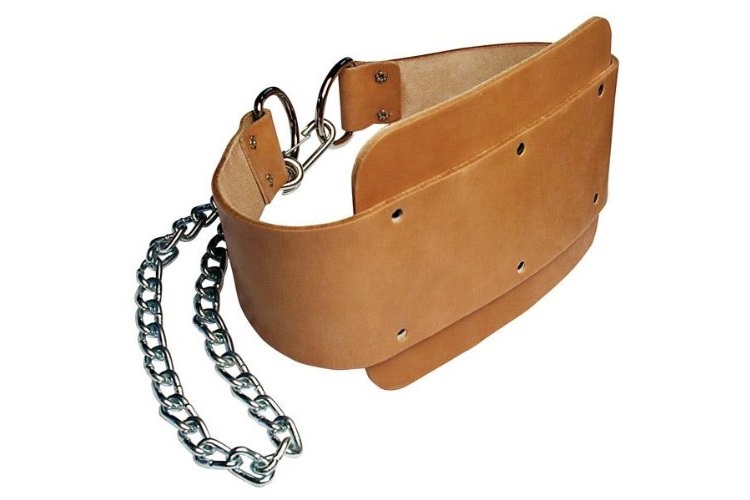 12 Best Dip Belts | For Weighted Dipping [April 2024 ]